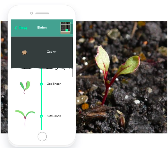 Makkelijke Moestuin App: moestuinieren voor beginners - Oogstkoken