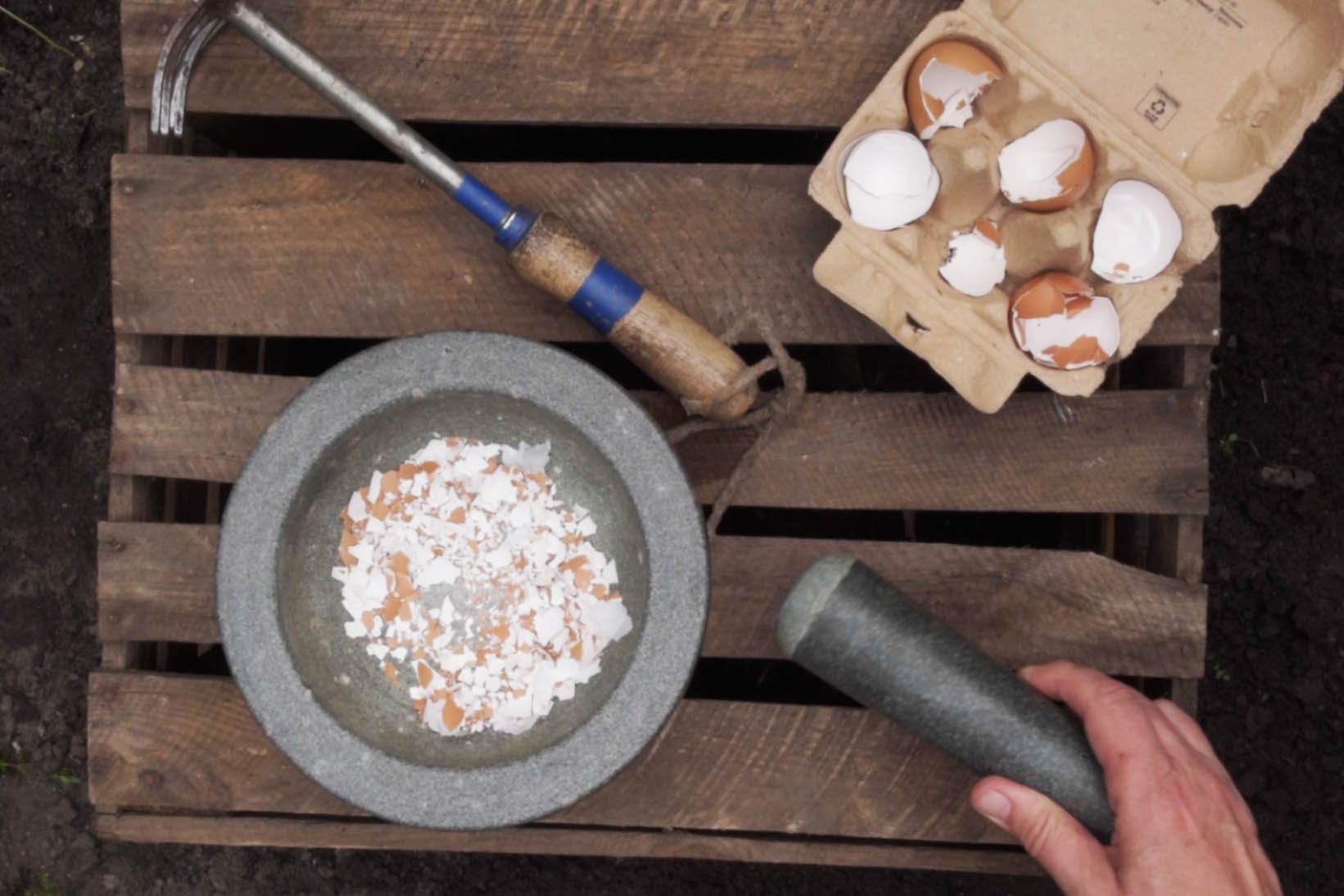 How-to-video: verbeter de grond met eierschalen - Oogstkoken